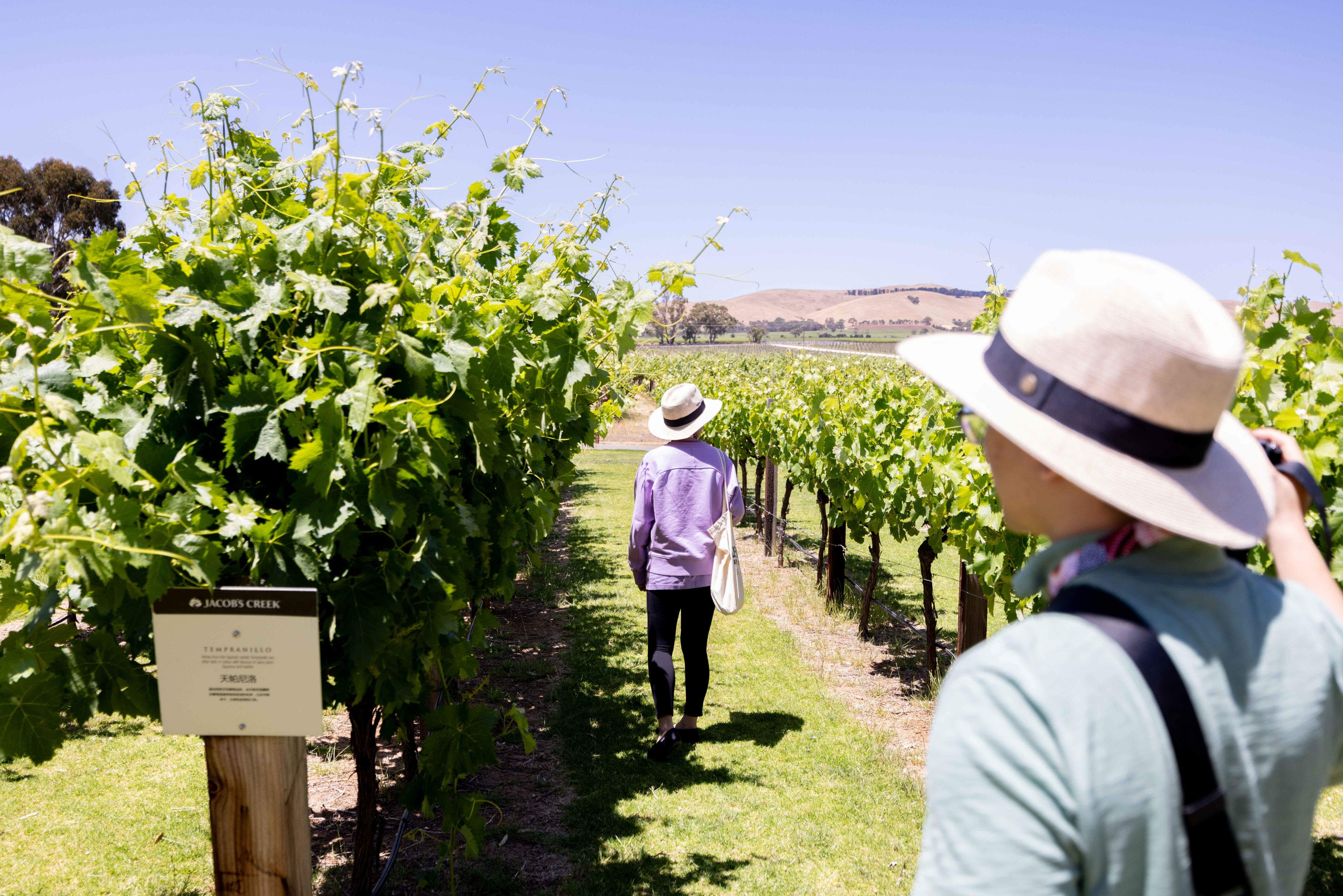 Destination spotlight: Adelaide | Meetings & Incentive Travel