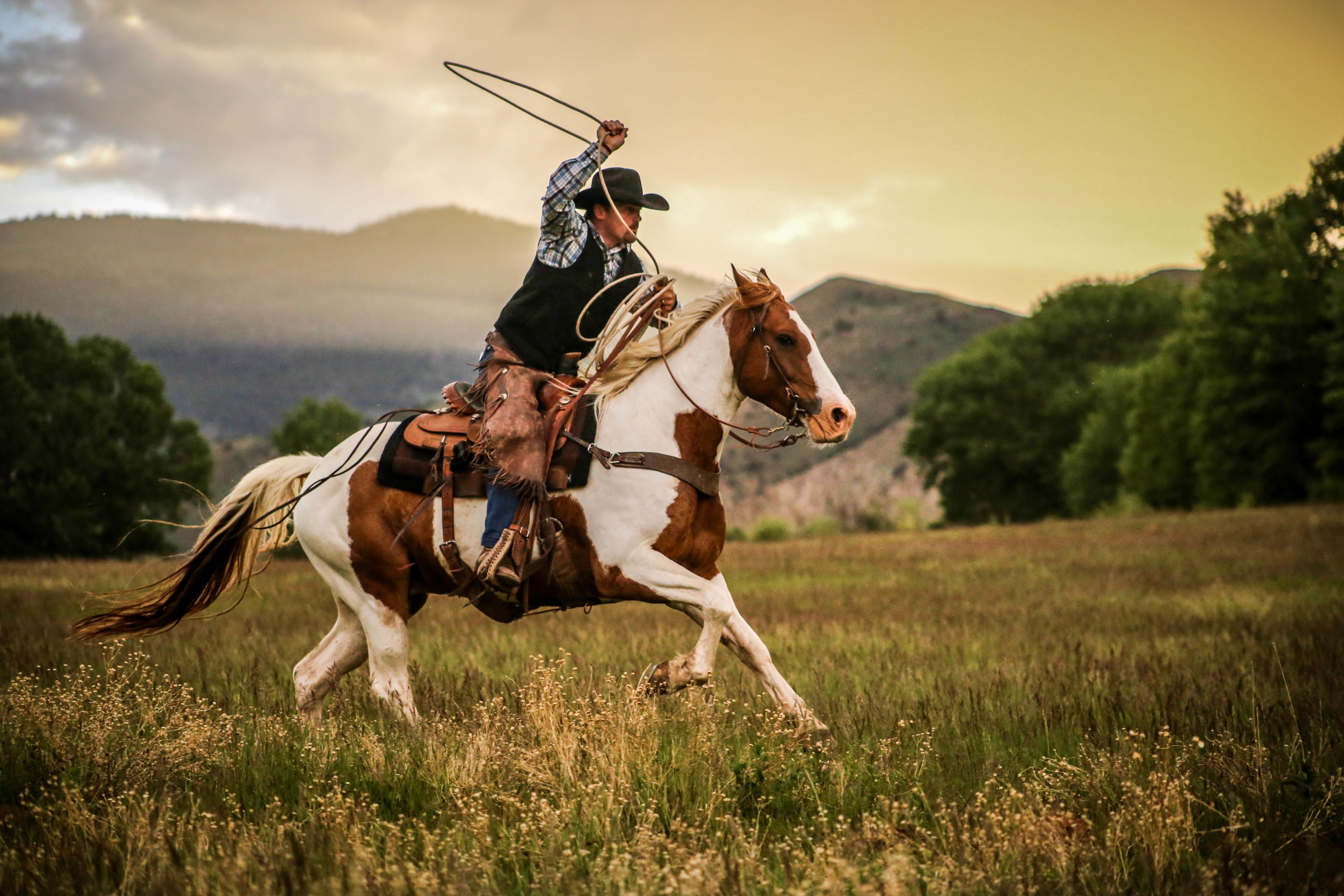 Dude Ranchers' Association | TravelAge West