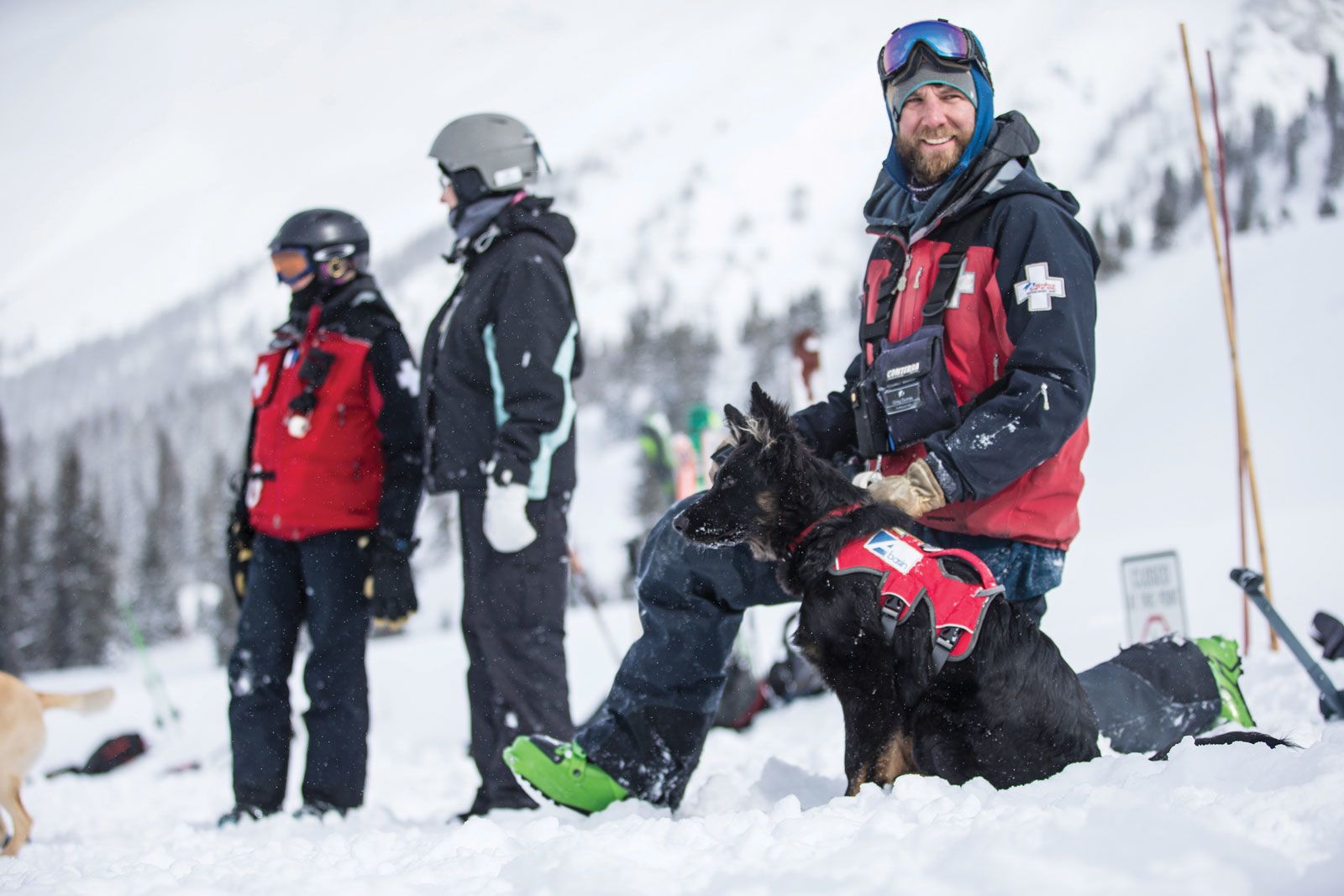 Focus on ski & mountain travel: Backcountry bonanza: Travel Weekly